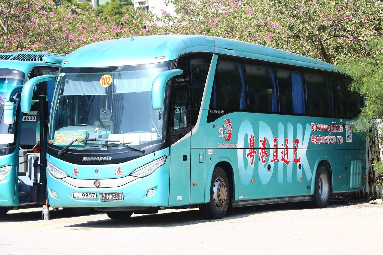 Next stop, diorama! (Lokkylee's Blog): 2018年10月第3期：GDHK 粵港直通巴