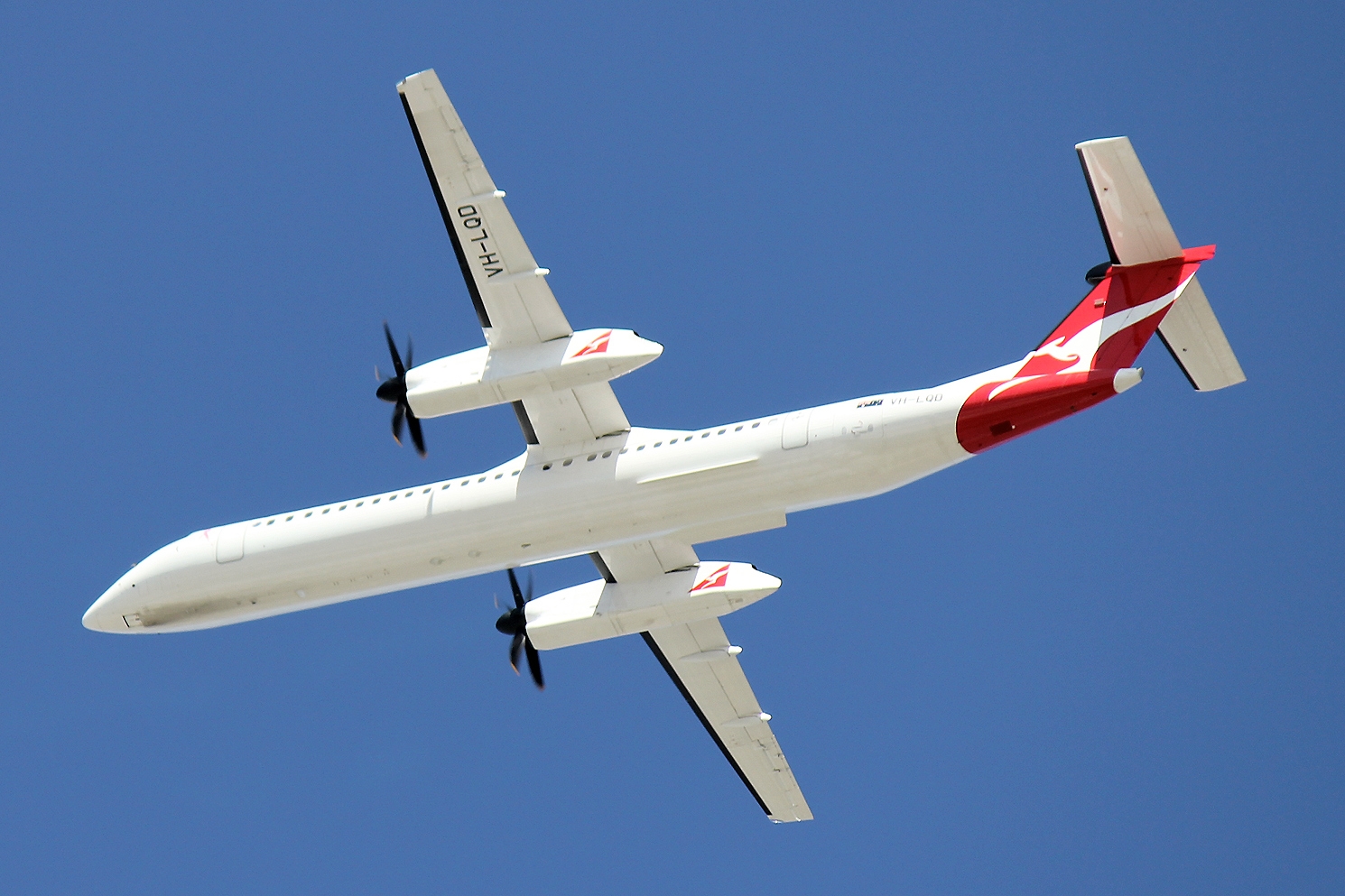 airports terminal: Qantaslink Dash-8 Q400 VH-LQD (second route proving ...