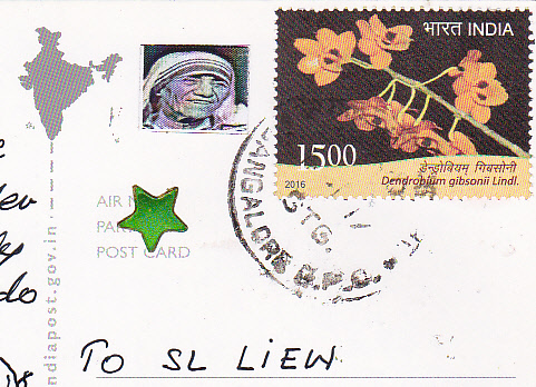 Postcard A La Carte: ASIA - India - Indian