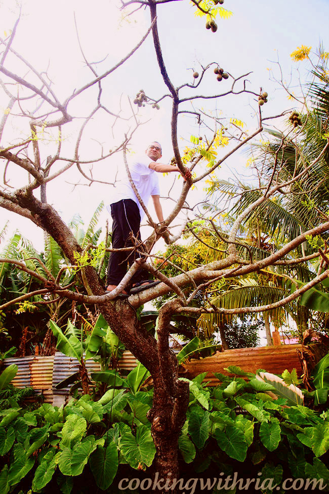 What is Trinidad Chow and how to make it?