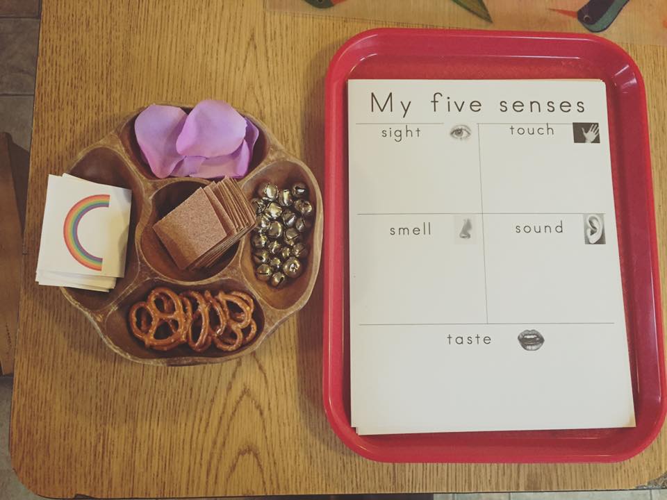 Montessori Design: The Five Senses