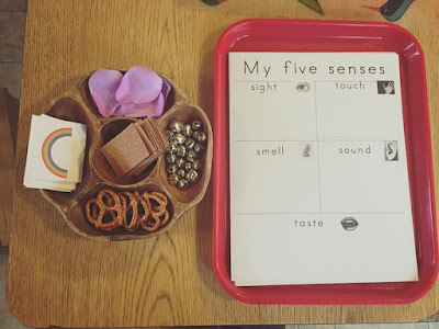 Montessori Design: The Five Senses