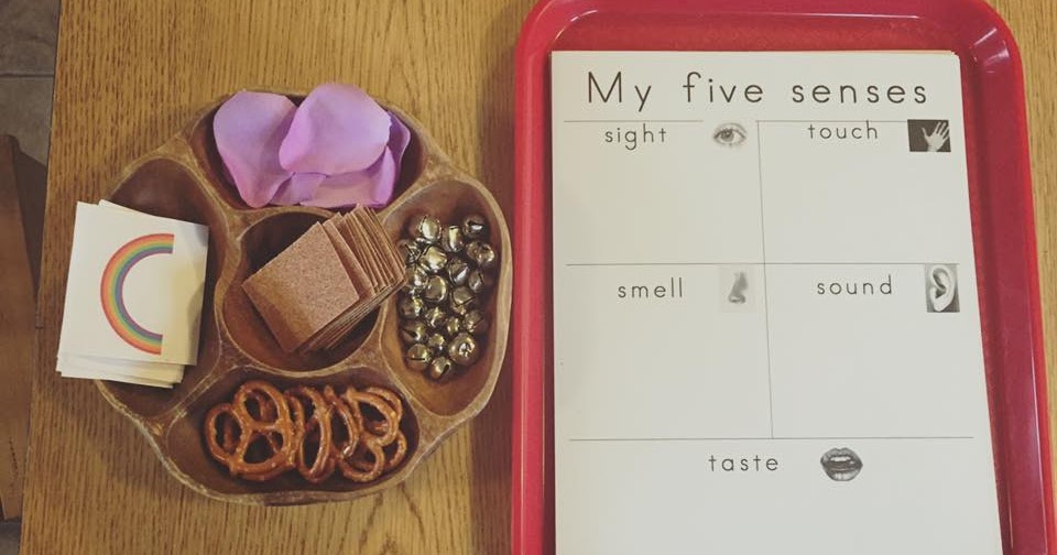 Montessori Design: The Five Senses