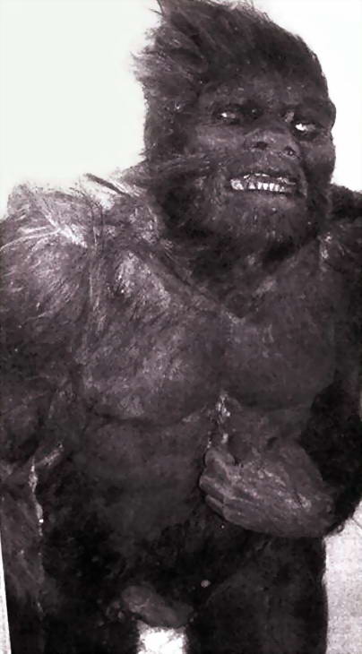 DUNIAKU: Almas, Makhluk Misterius Mirip Bigfoot Dari Mongolia