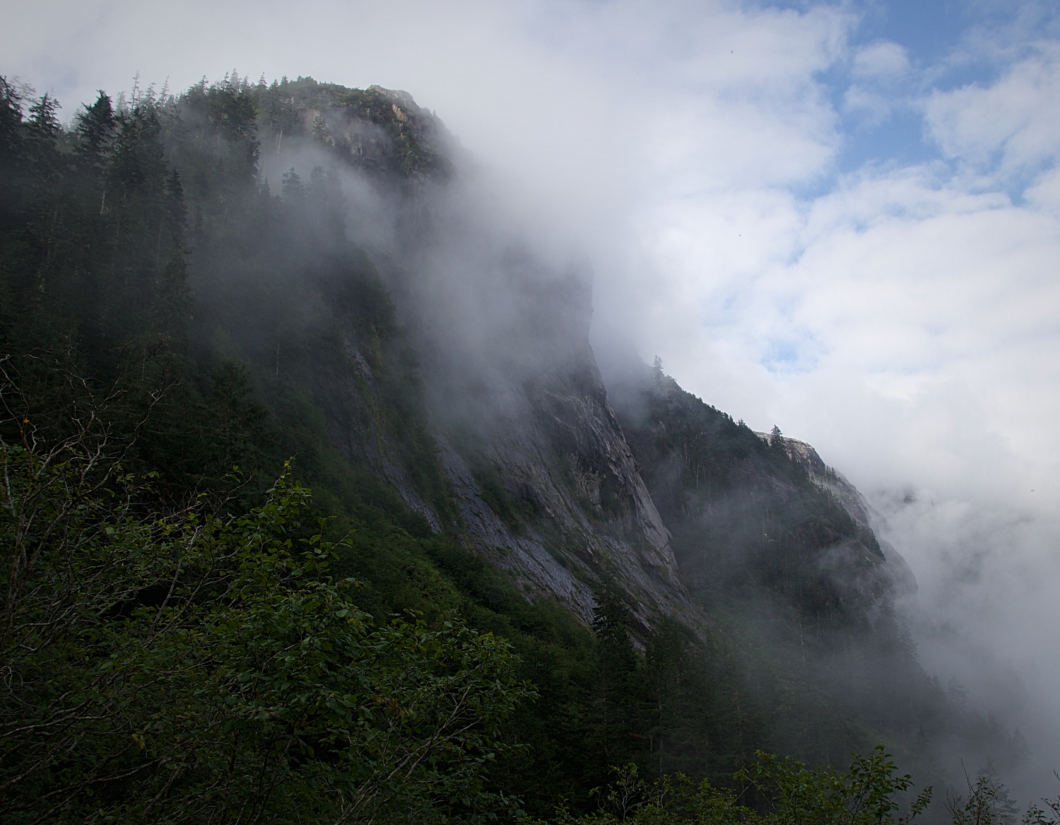 Etolin Island Archery Elk | Modern Mongolian