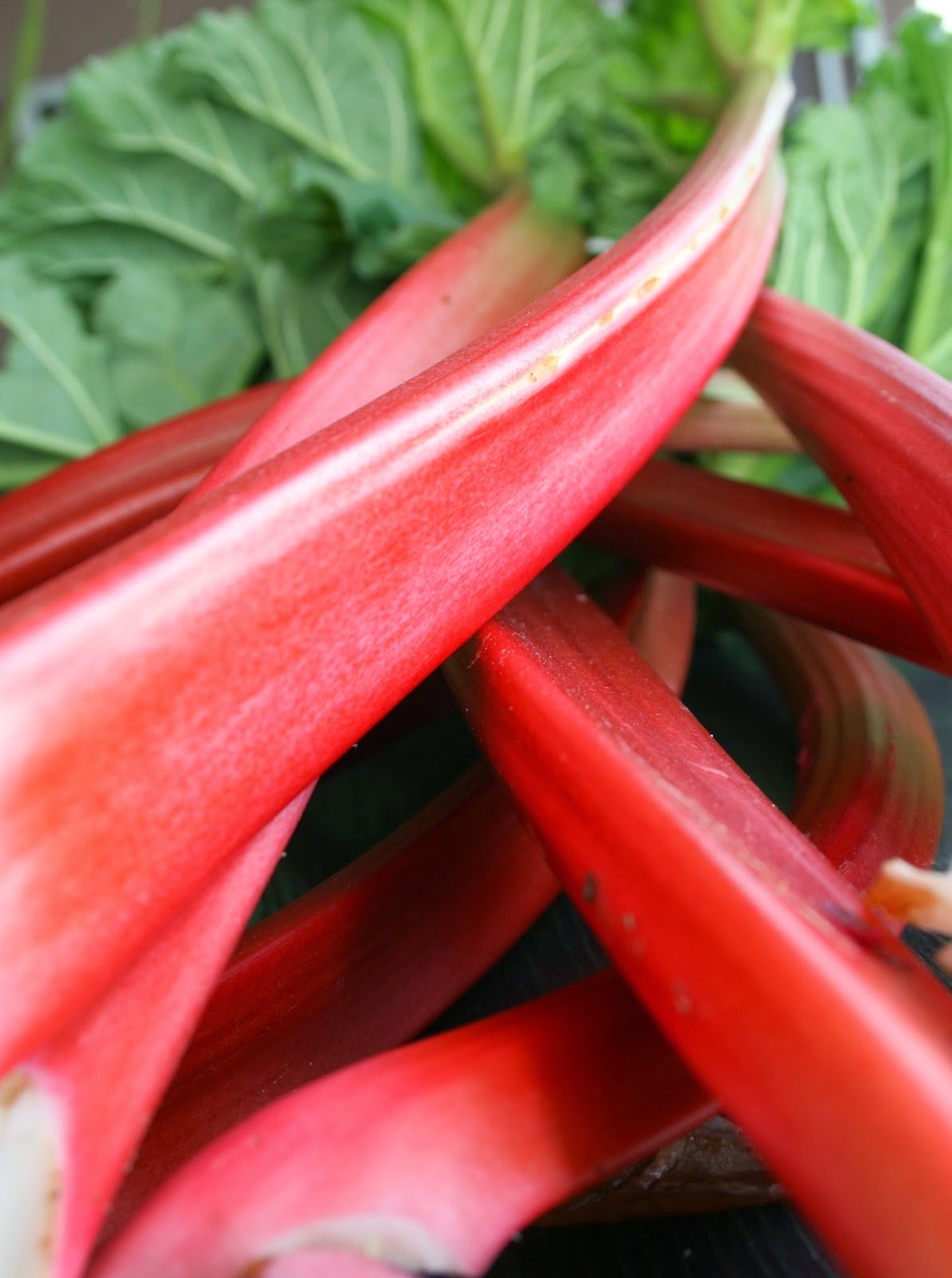 HIŠA Z VRTOM: MARMELADA IZ RABARBARE