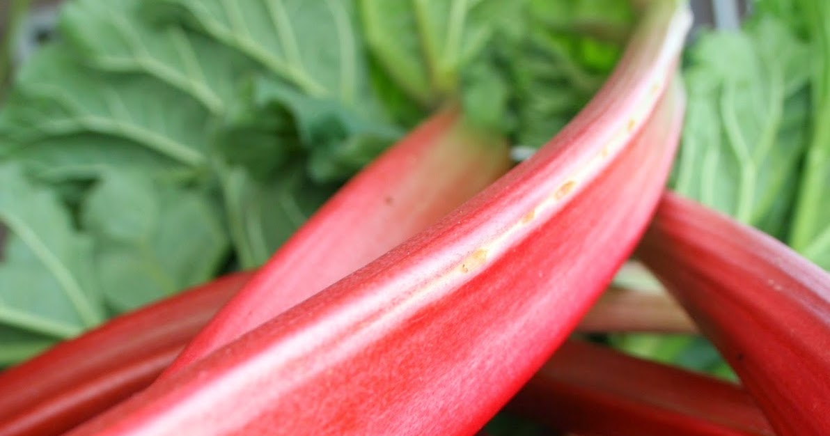 HIŠA Z VRTOM: MARMELADA IZ RABARBARE