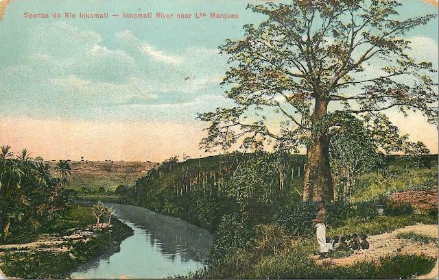 Fotos antigas do Rio Incomati em território moçambicano (1/2)