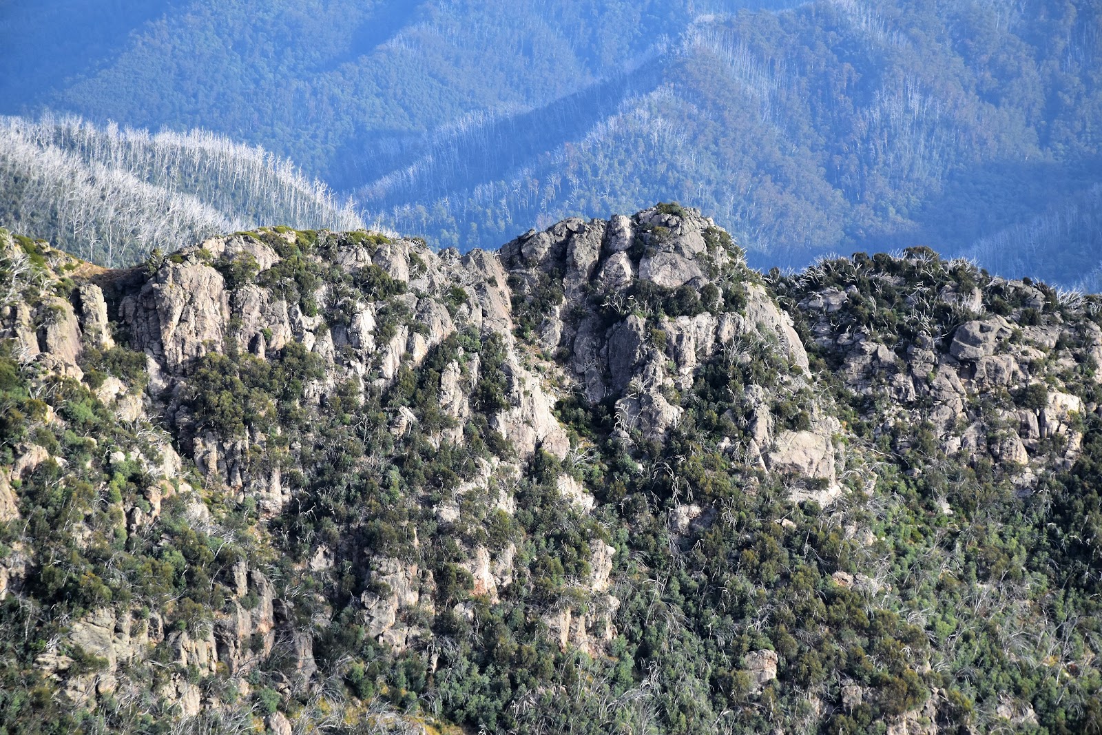 Goin' Feral One Day At A Time: Bogong Village to Little Plain, Bogong ...
