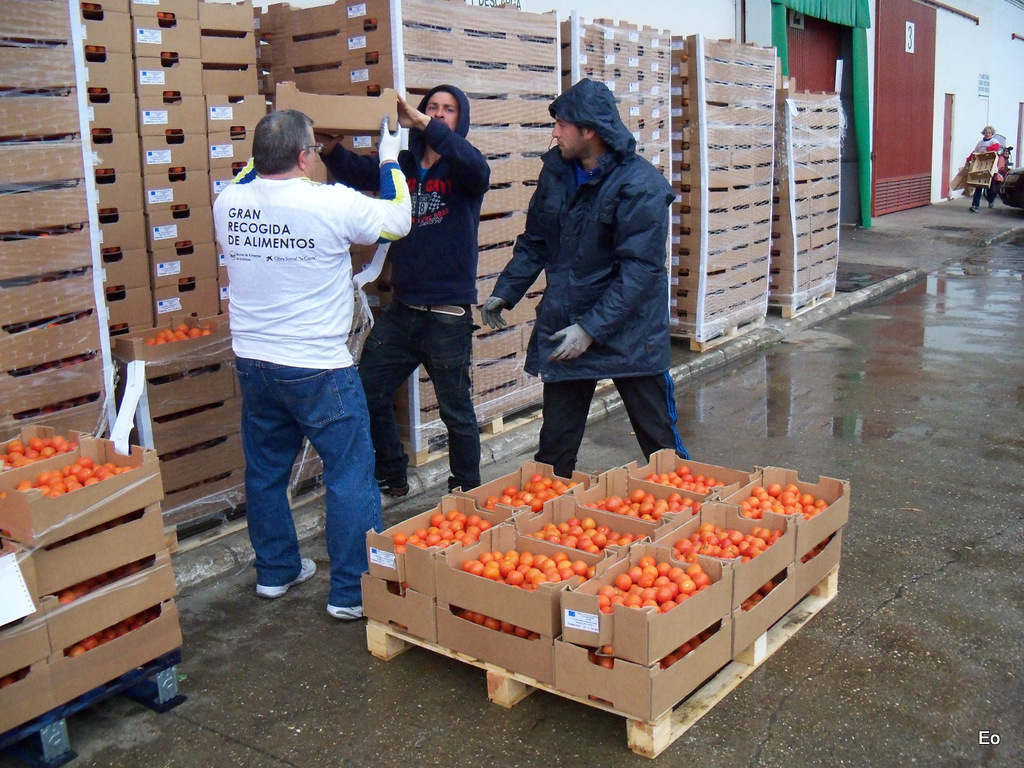 Sala virtual de prensa del Banco de Alimentos de Córdoba: Un camión de ...