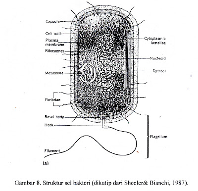 Bergerak dapat secara aktif atau secara pasif. Bakteri yang bergerak ...