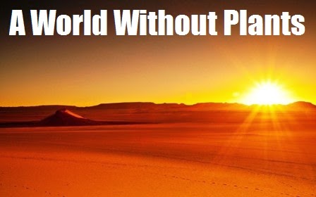 Thoughts to Promote Positive Action...: A World Without Plants