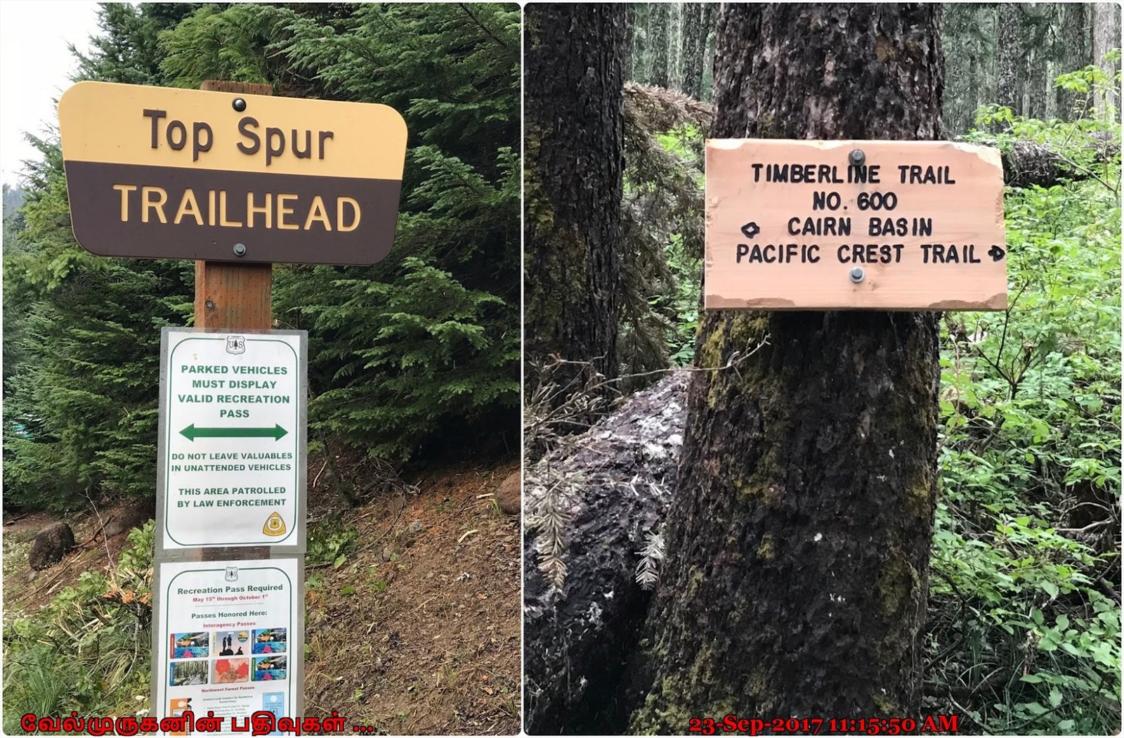 Bald Mountain Hike Oregon - Exploring My Life