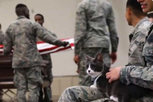 Eye On The World: US: Fighting the war on MISIS meet Captain Cat