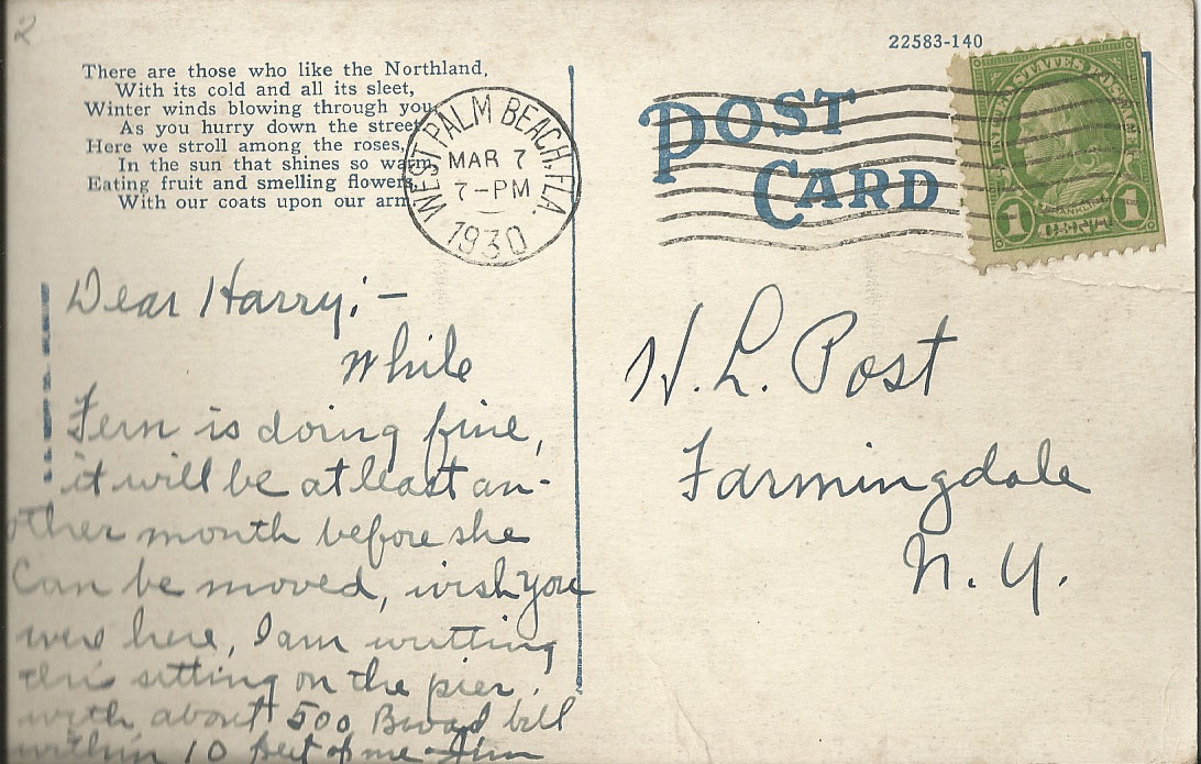 Postcard Messages from the Past: Greetings from Florida (with a Pelican ...