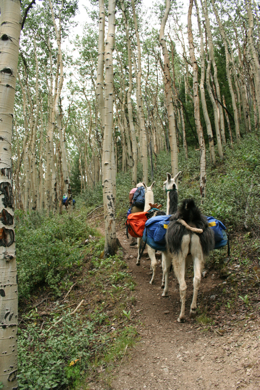 Colorado Lifestyle: Hope Pass