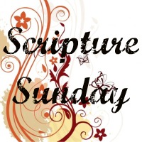 Stuff I Love: Scripture Sunday: Proverbs 31 -Pt I.