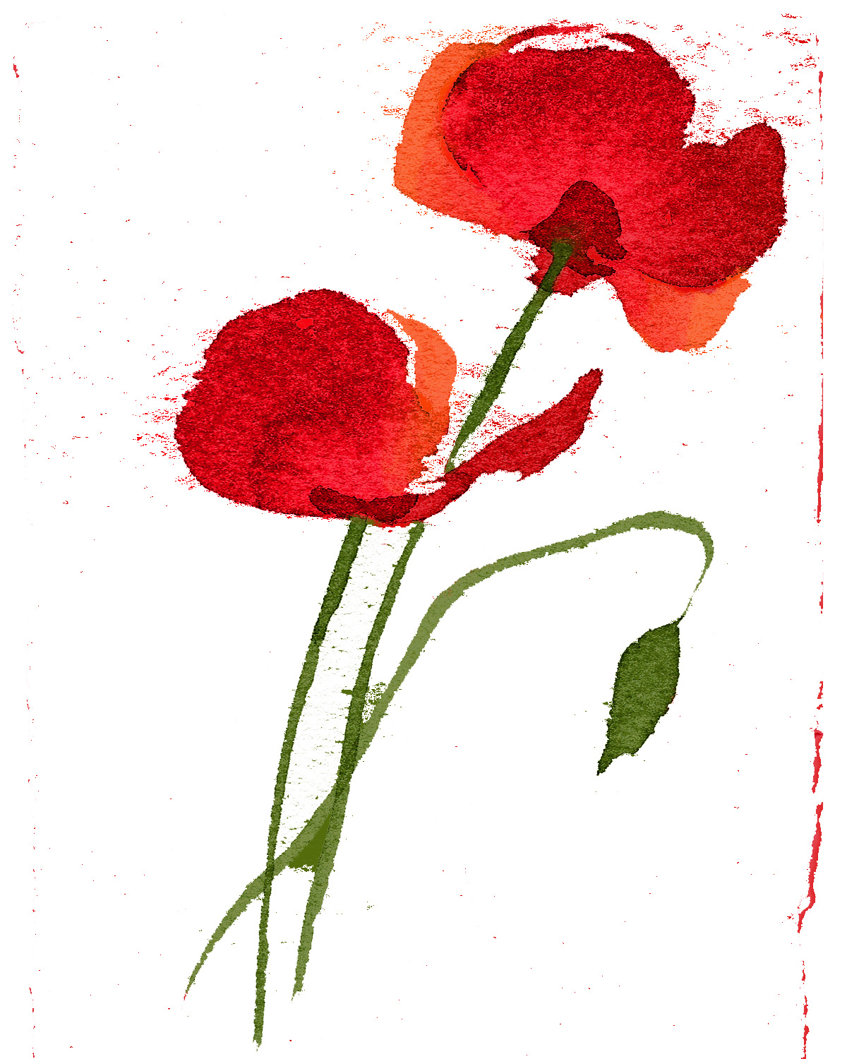 Kate Radomski Illustration: Flowers