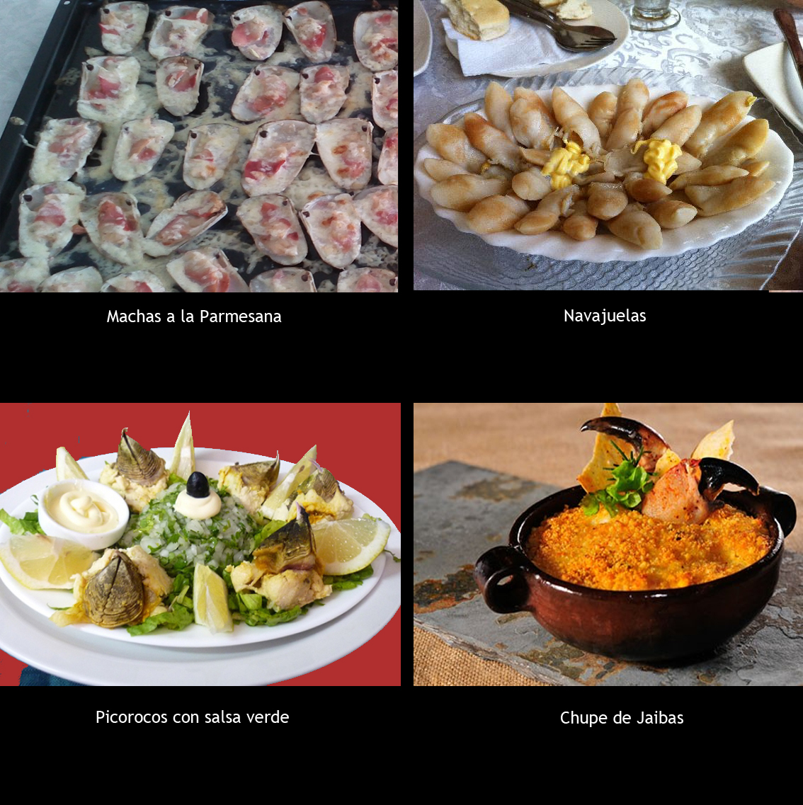 VACACIONES en Villa Cocholgue- SUR DE CHILE : GASTRONOMIA CHILENA ...