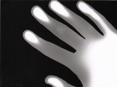 Kimberley Photography: Photograms