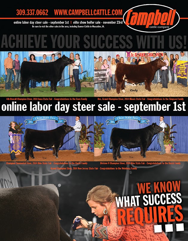 Fatsteer News: CAMPBELL CATTLE COMPANYONLINE LABOR DAY STEER