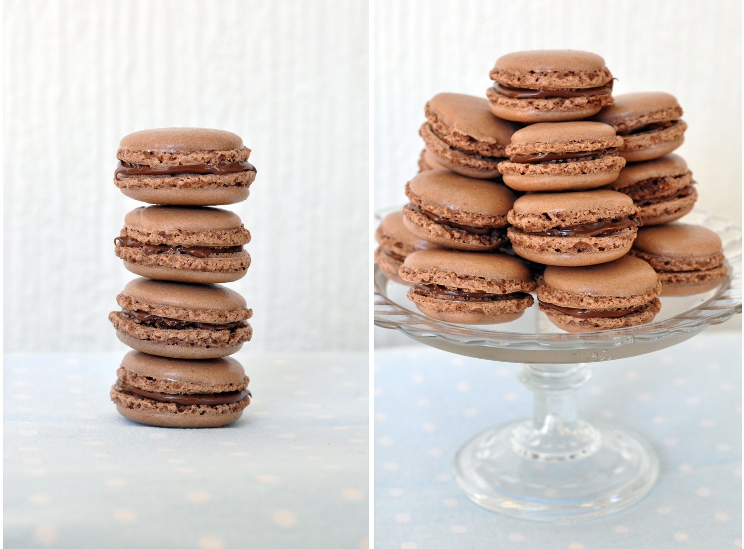 Chocolate Macarons & Cake International | Sophie Loves Food