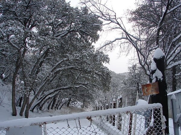 BACERAC SONORA MEXICO "LUGAR DONDE SE VE EL AGUA"