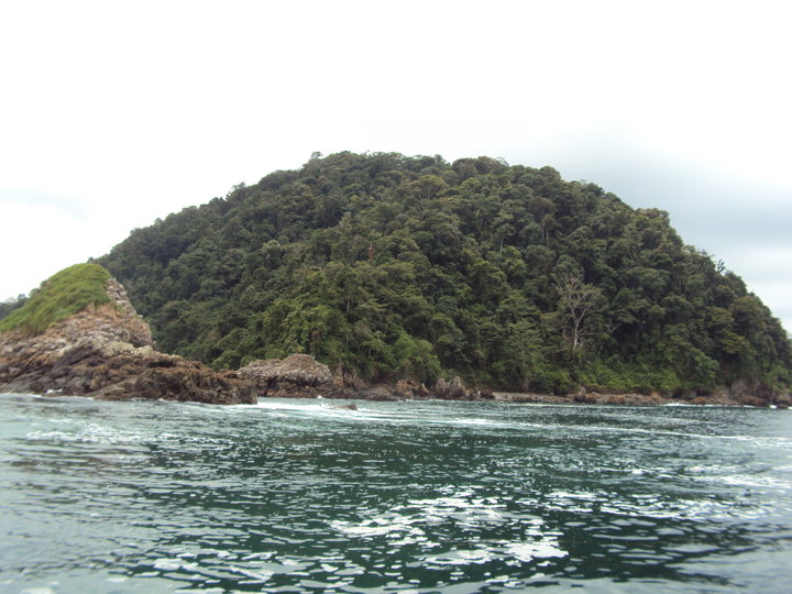 Guapi Cauca Costa Pacifica: Guapi te invita a visitar la Isla Gorgona