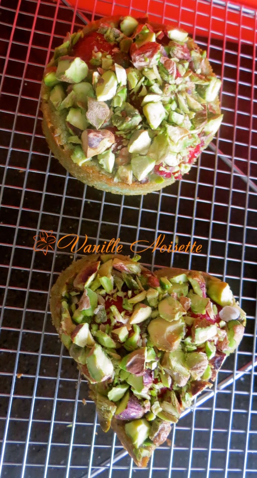 Vanille Noisette : ENTREMETS FRUITS ROUGES ET PISTACHE