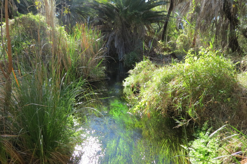 The Travelling Novocastrians: MILLSTREAM CHICHESTER NATIONAL PARK WA