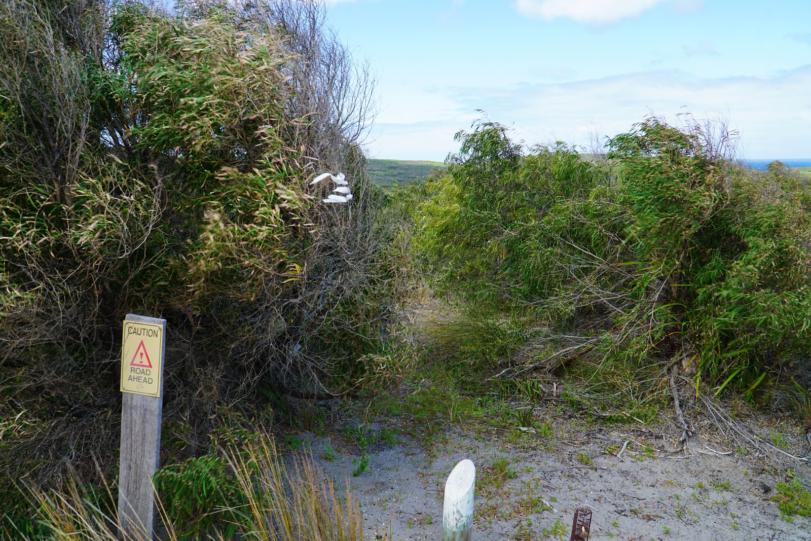 Torbay Head & West Cape Howe (West Cape Howe National Park) ~ The Long ...