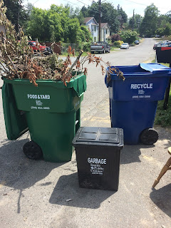 First Impressions: Zero Waste Life in Seattle | Zero Waste Bystander