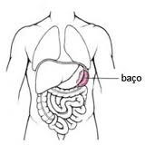 REFLEXOLOGIA ZEN: A IMPORTANCIA DO BAÇO