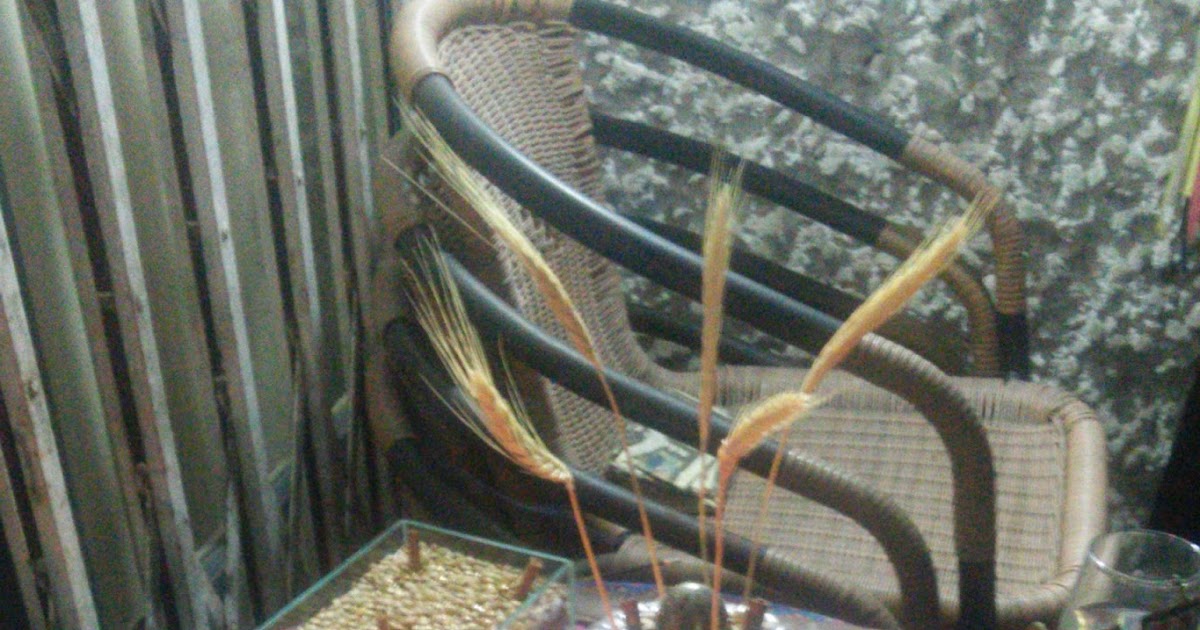 Casa da Cigana Dryad: Potes Ciganos de Prosperidade