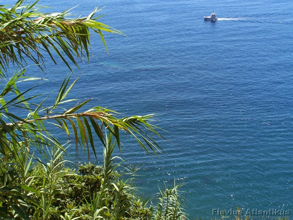 FLAVIUS ATLANTIKUS: Trilho da Praia da Amora - Ponta Garça (Vila Franca ...