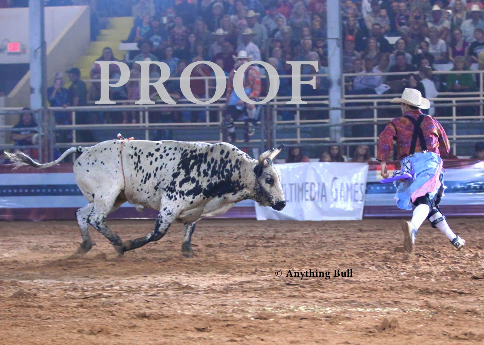 Anything Bull or Rusty: Friday Round 1 - Chuck Swisher