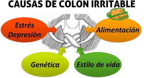COLON ESPÁSTICO O IRRITABLE