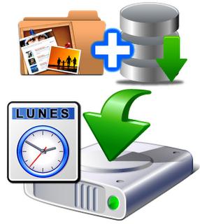 Resguardar la Informacion: Que es el Respaldo de Informacion