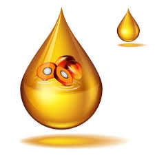 Kelapa Sawit CPO dan PKS: Tentang Kami