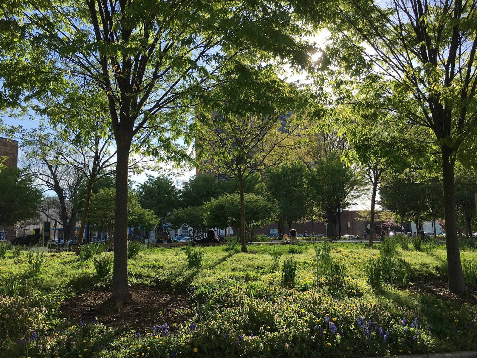 Edge of the City: MacDonald Park in Springtime