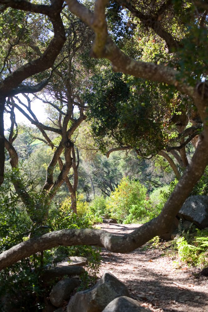 Santa Barbara Botanical Gardens