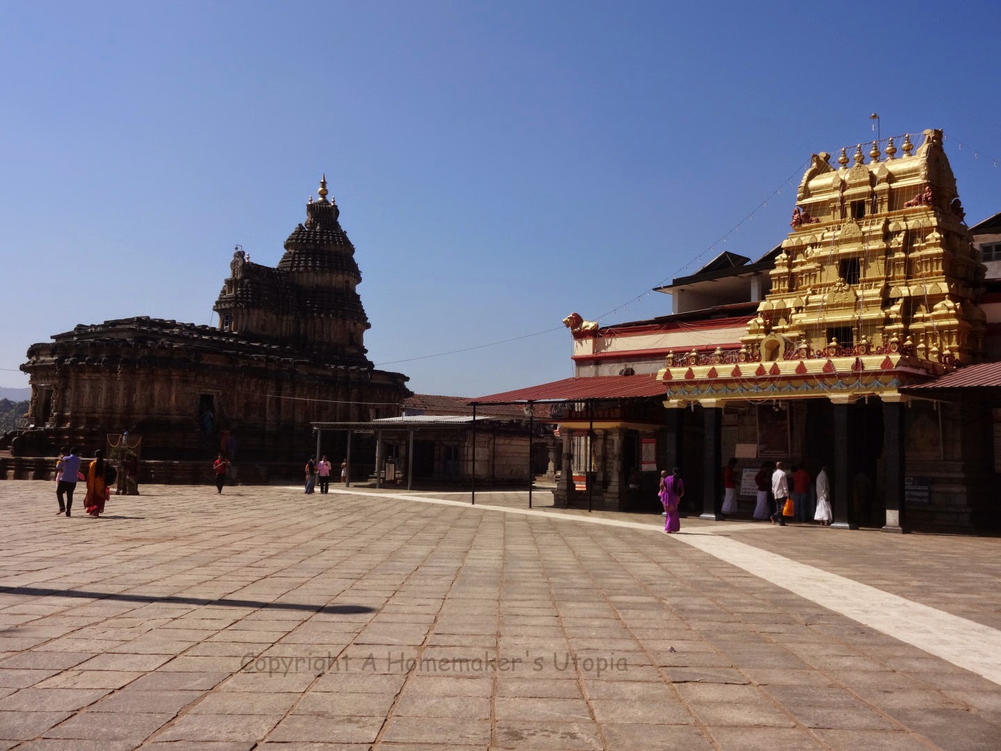 A Homemaker's Utopia..: Sringeri : Sarada peetam - Sringeri Mutt