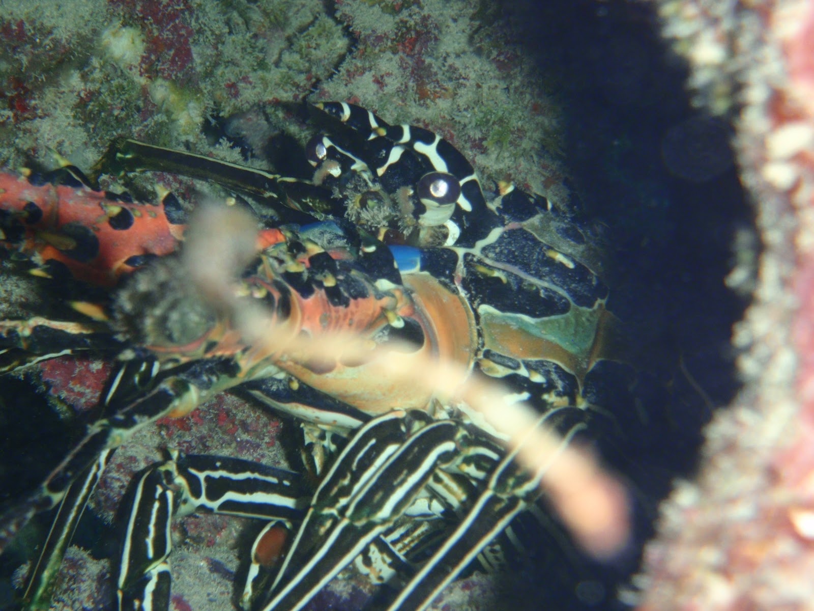 Travelling Around Australia in a Lemon: September 2012