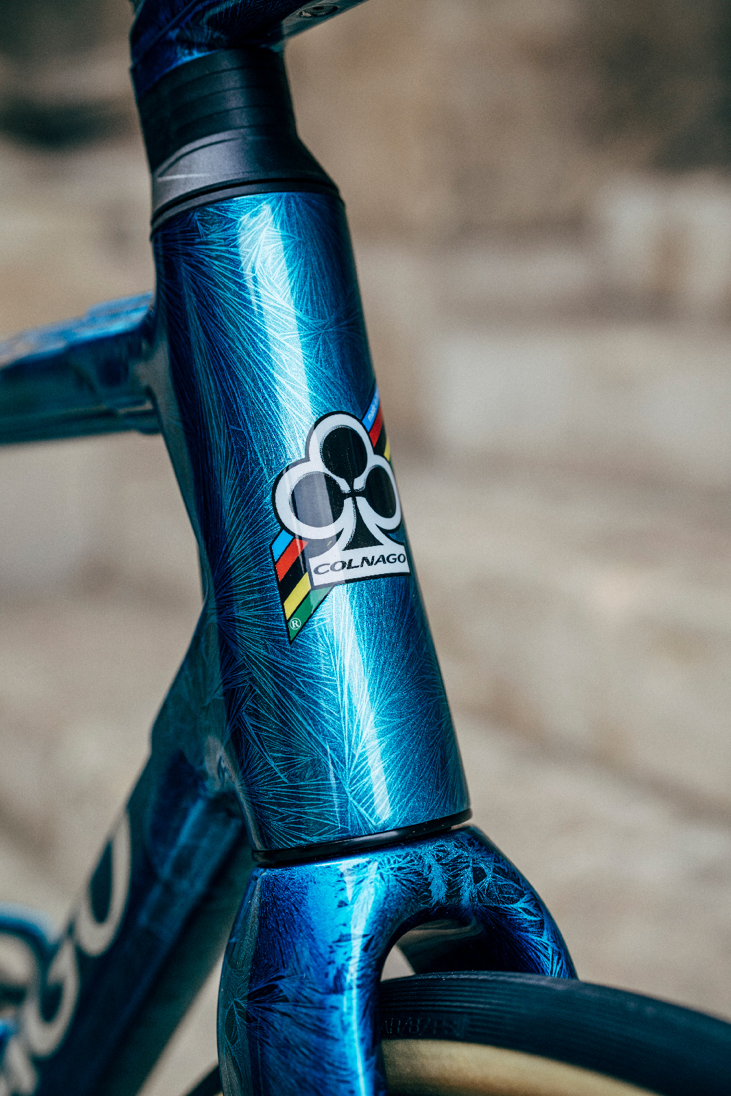 COLNAGO JAPAN Official Blog: 『C64』に新色『RC19』が登場
