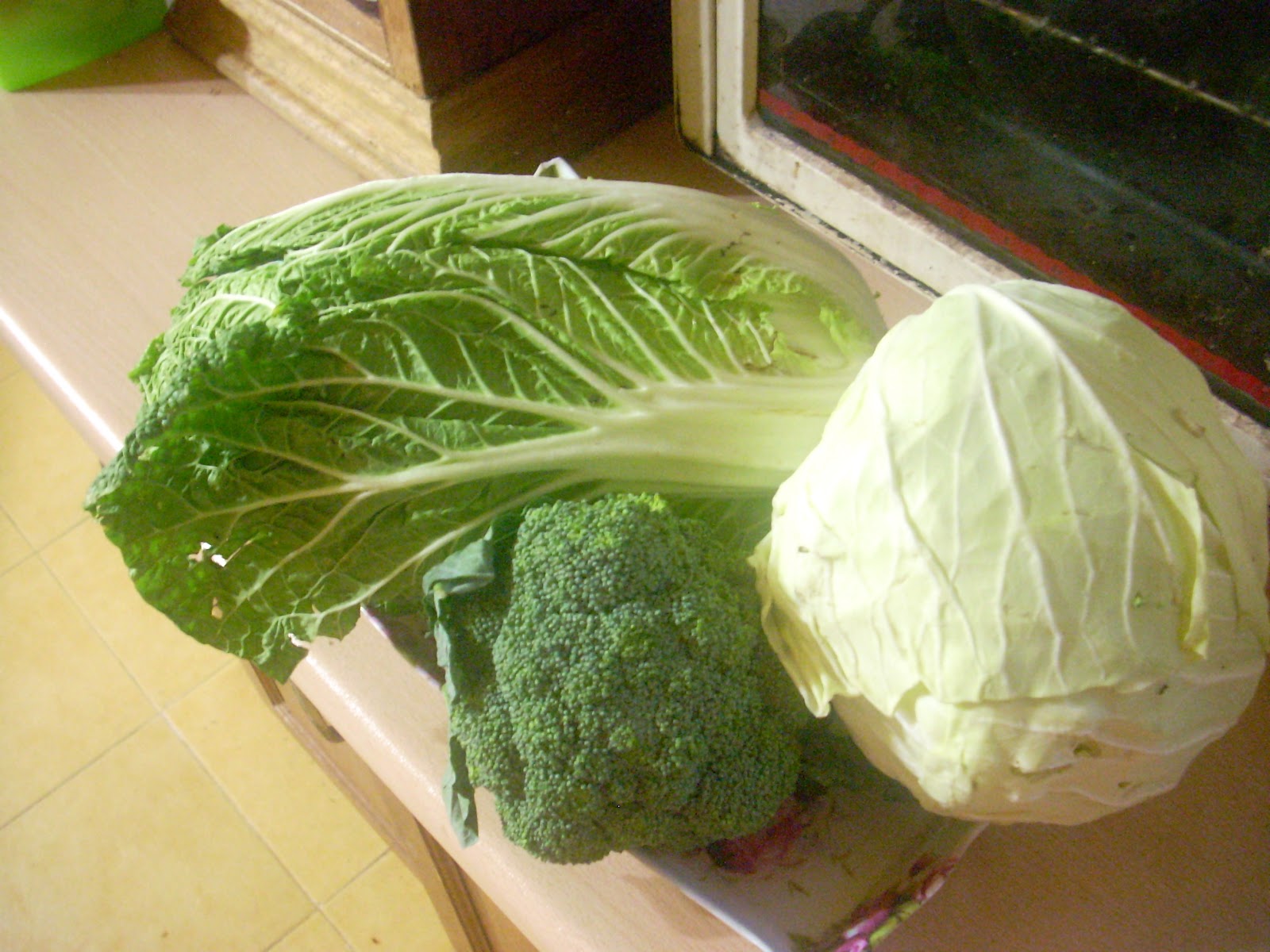 Cempaka Biru: Sayur buah tangan dari Cameron Highland.