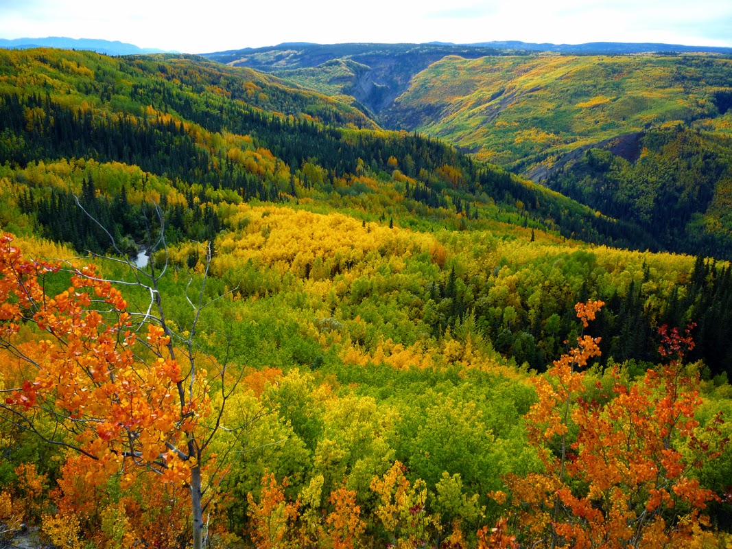 Northwest Explorer: Northwestern B.C. Road Trip 2014