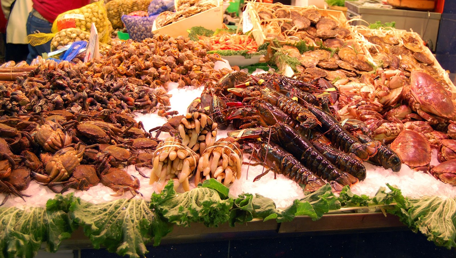 MARISCO, DELICIAS DEL MAR