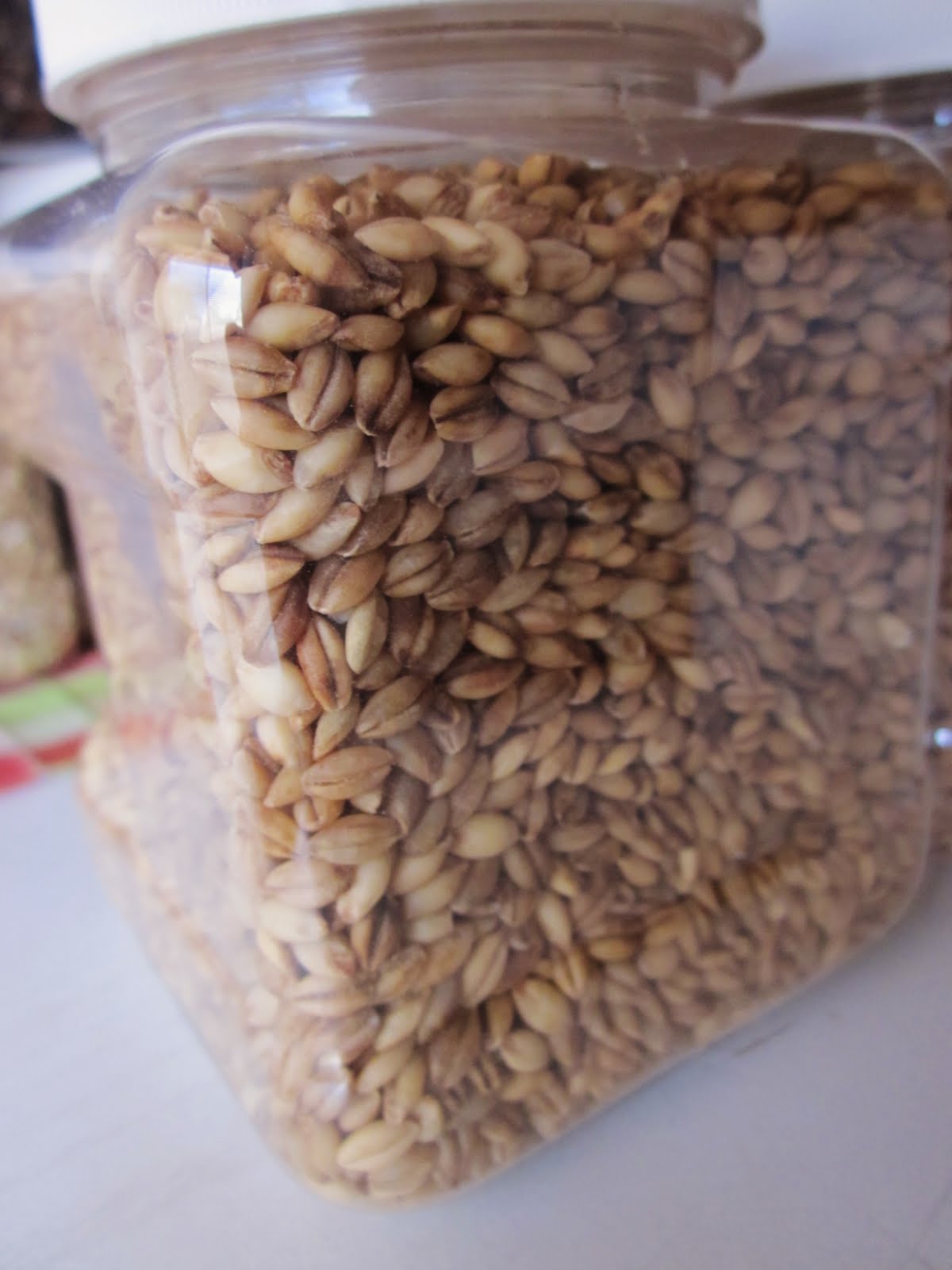 Preparing Wisely: Grain Surgery-- Basic Grain Identification 101