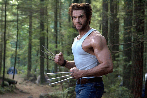 AKI GIFS: Gifs animados Wolverine