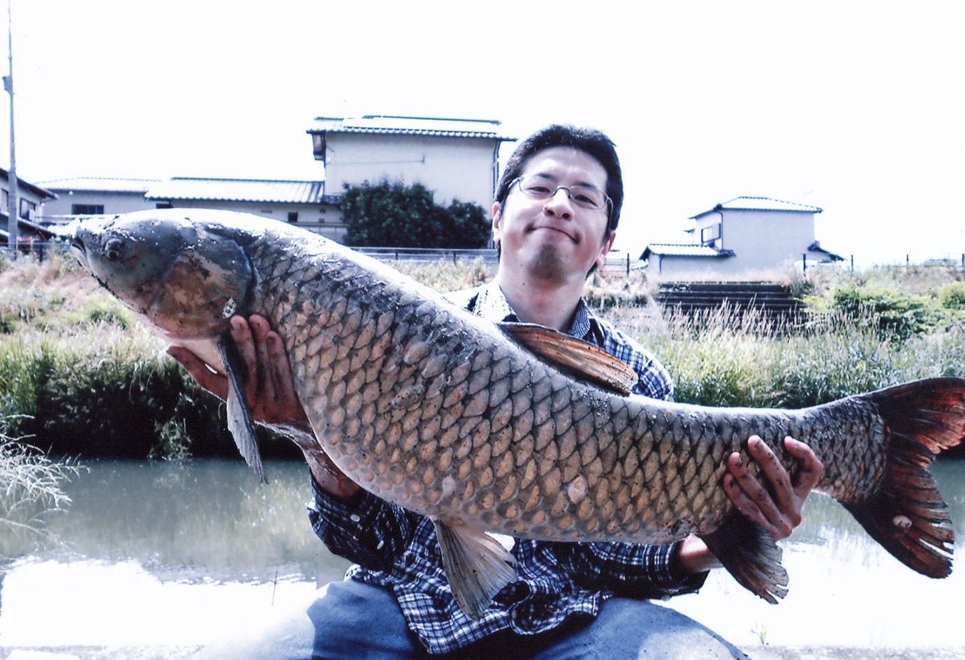 World Record Grass Carp